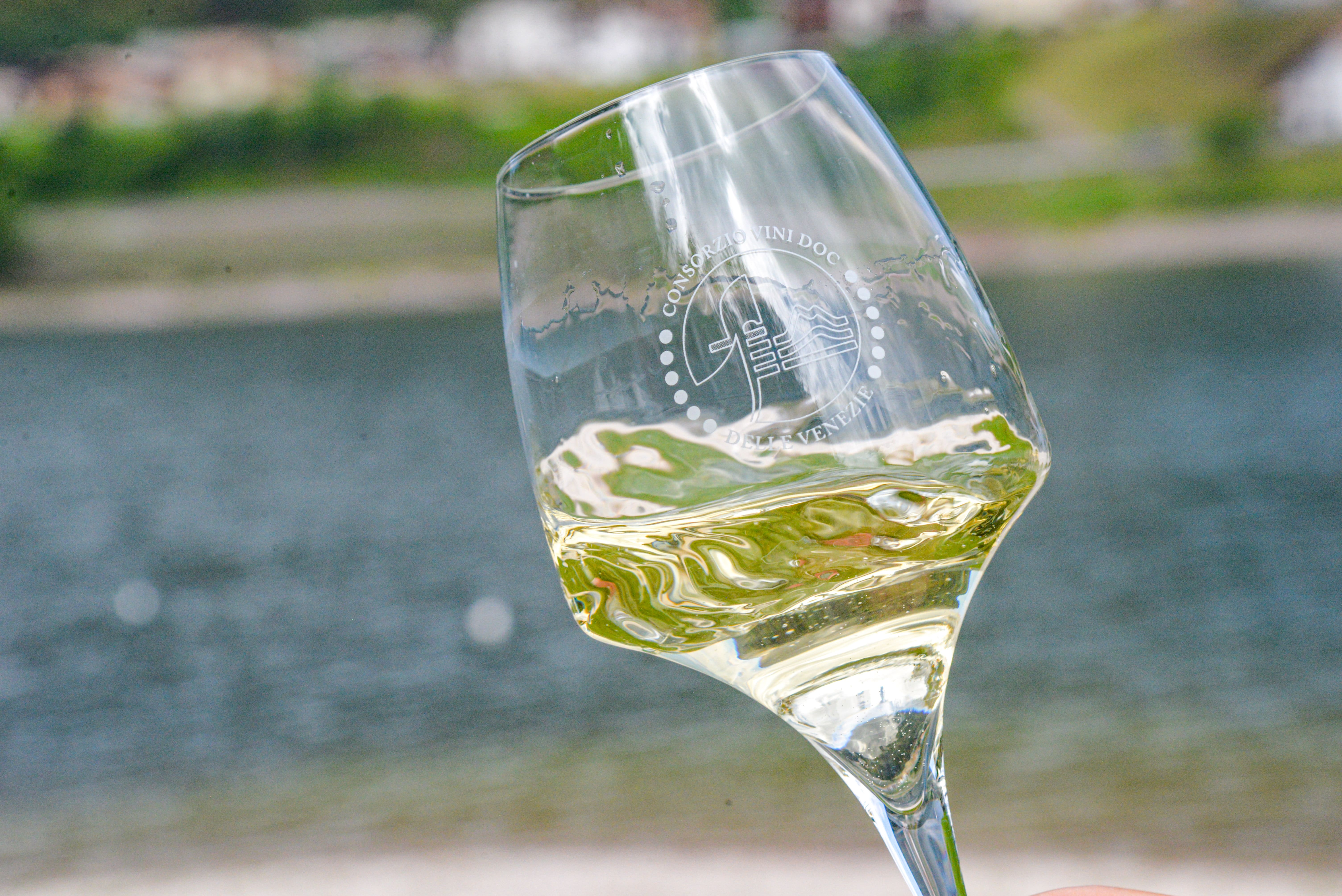 Pinot Grigio delle Venezie: il vino dei sei fiumi tra viaggio e tavola ...